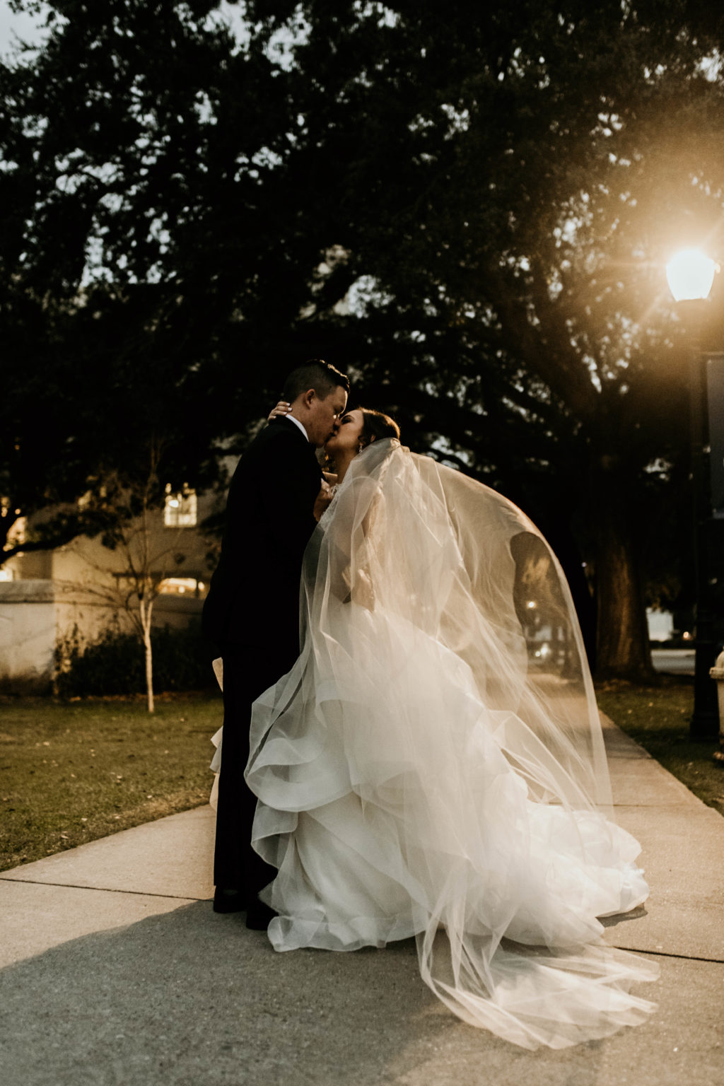 36 Beautiful Wedding Veil Photos [Tips and Inspiration]
